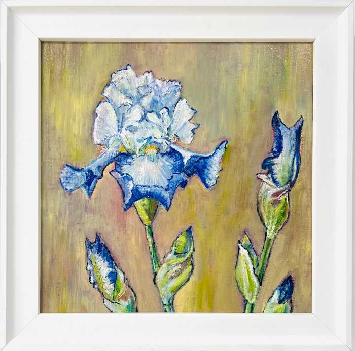 Vincent's Iris – Art & Space Gallery